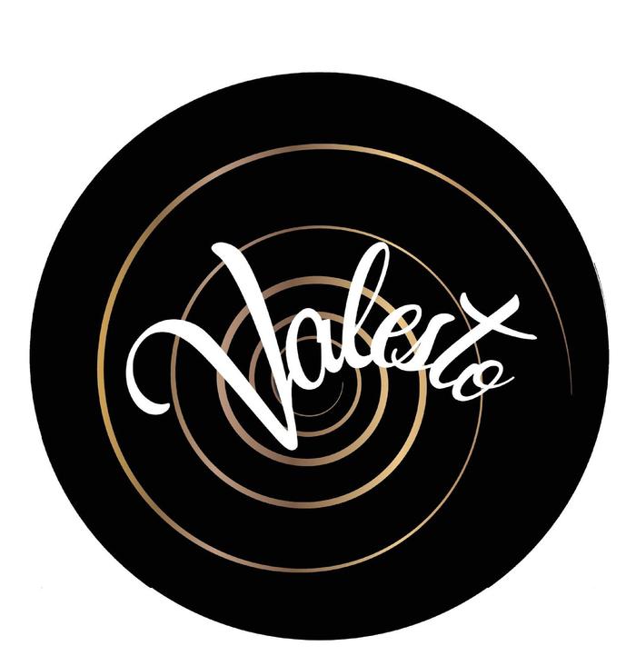 static/logo/valesto_logo.jpg